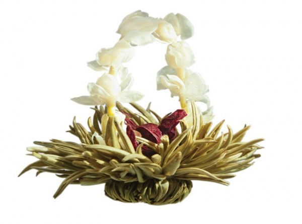 Flowering Tea Bulbs | Teapicker